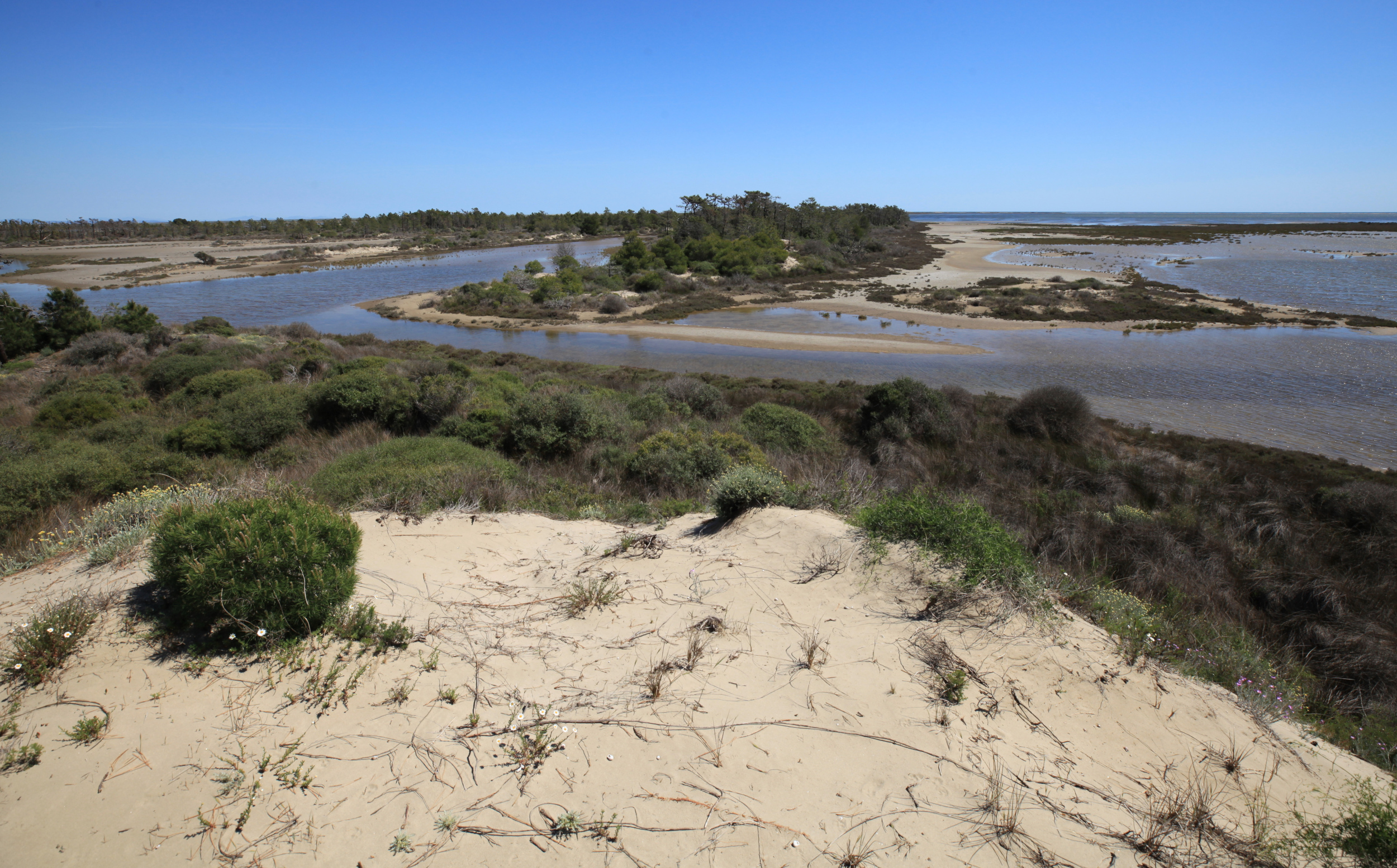 Accueil - Les anciens salins de Camargue